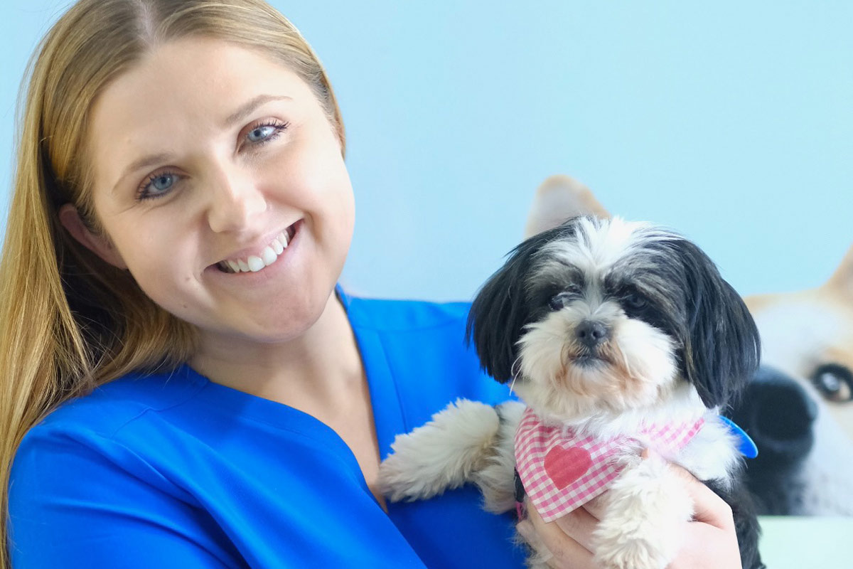 PetMed Vets in Kohimarama | Jenny Carter