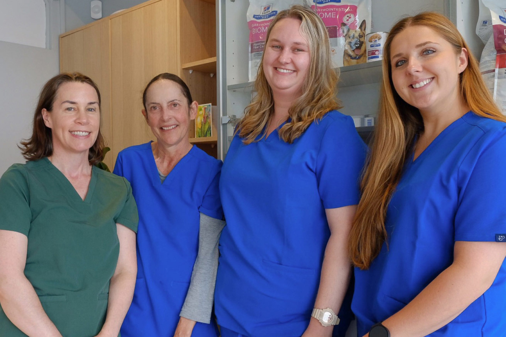 PetMed Kohimarama | Top Quality Medical Care